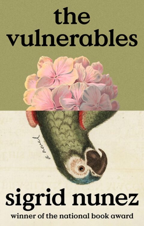 Sigrid Nunez | Author: The Friend, Sempre Susan, Salvation City